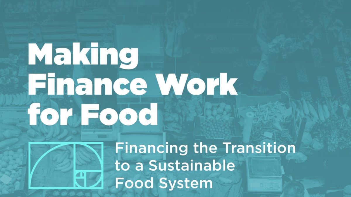 Making Finance Work for Food: Financing the Transition to a Sustainable ...