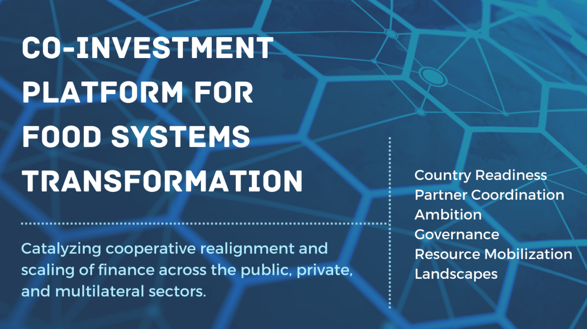 COP27 Announcement: Co-Investment Platform for Food Systems ...