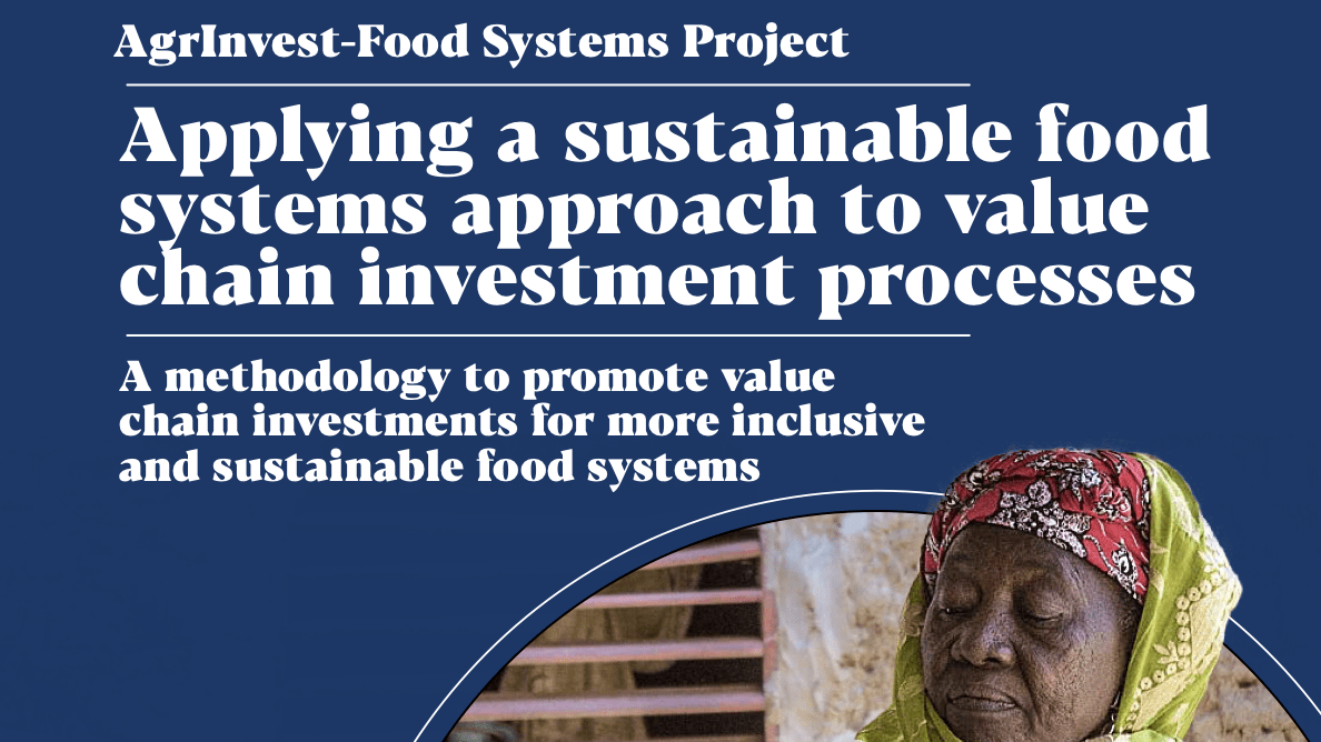 Investing in sustainable food systems: A methodology and lessons ...