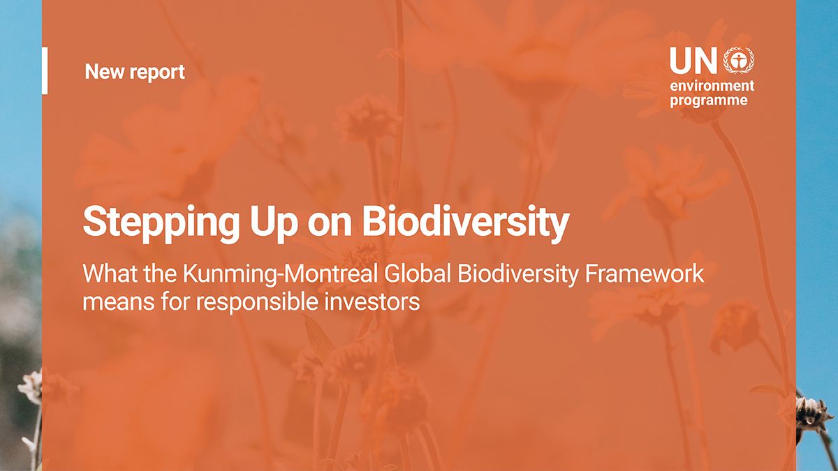 Guidance for Financial Institutions on the Global Biodiversity ...